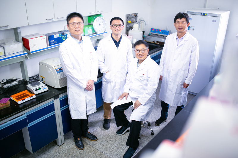 媒体关注丨新一代car T技术治疗肿瘤获完全缓解,中国科学家免疫疗法登上自然正刊 华东师范大学